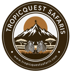 Tropic Quest Safaris - Tropicquest Safaris